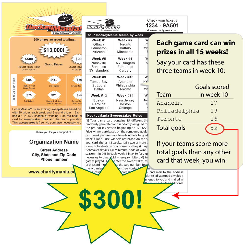HockeyMania - a unique fundraiser based on professional hockey
