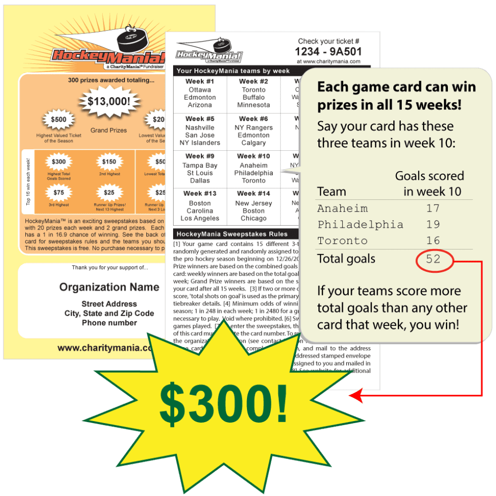 HockeyMania | CharityMania Fundraisers